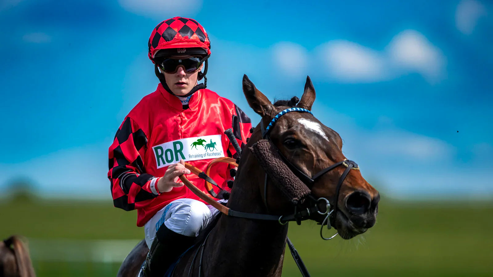 Racing – Equiverse Pro