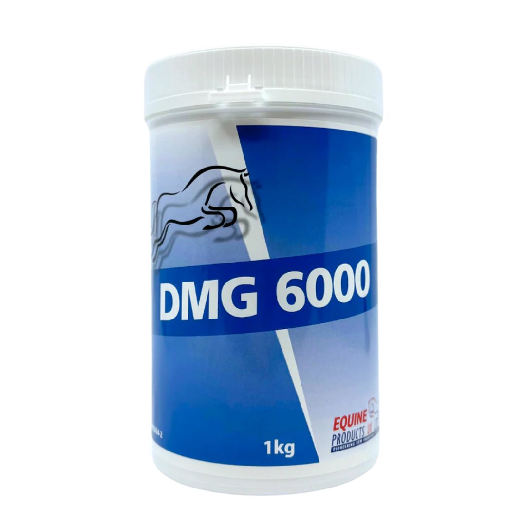 Equine Products UK DMG 6000 1KG 1kg / 17 days supply* – Equiverse Pro