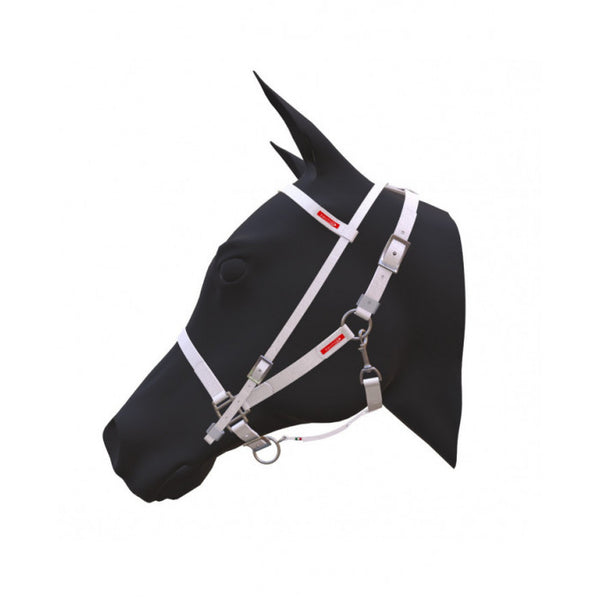 Equitime Easy Model Endurance Bridle – Equiverse Pro
